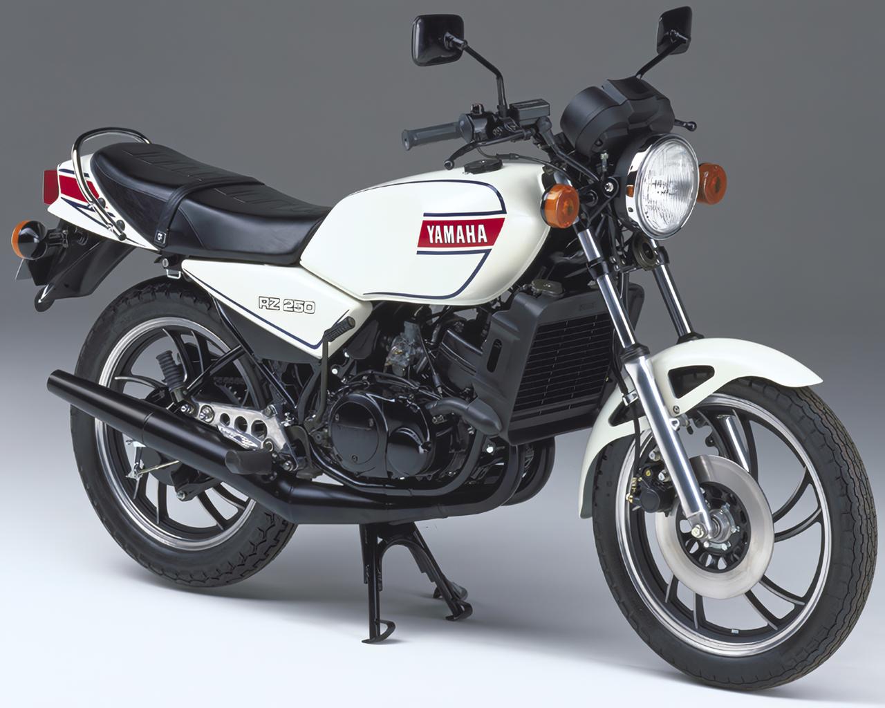 いまが狙い目の中古バイク10選【2023-2024年版】｜BDSバイクセンサー掲載車両でおすすめの125cc・250cc・400cc・大型バイクを理由とともに紹介 - webオートバイ