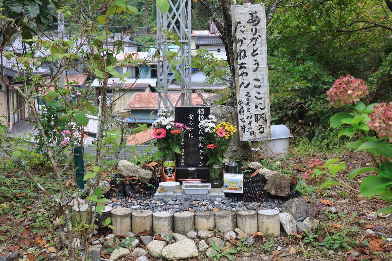 バイクイベントはいろいろある、ハイシーズンはハシゴもあり！ ホンダ「NX400」でゆく2泊3日のキャンプツーリング・最終日 (2/2) - webオートバイ