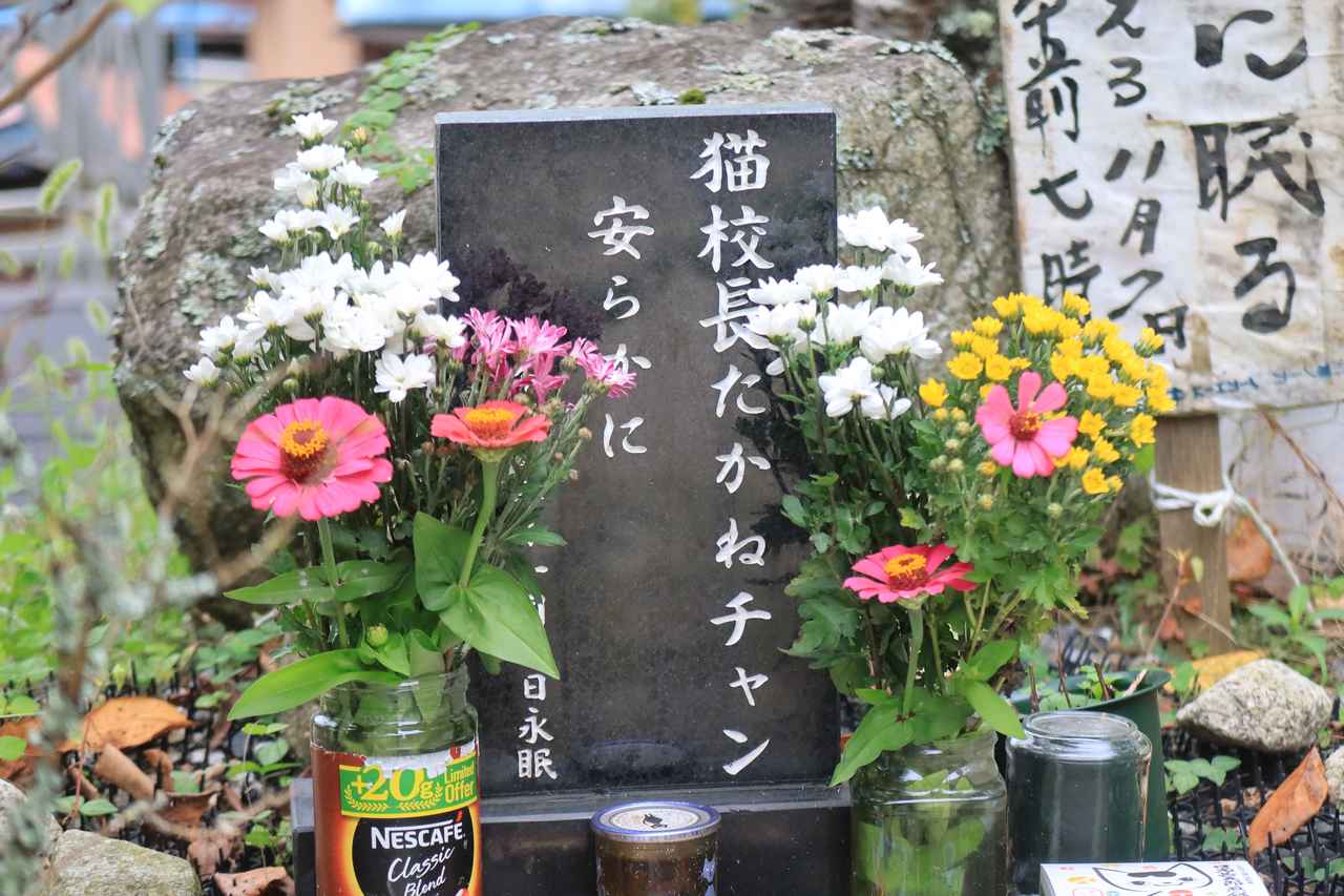 バイクイベントはいろいろある、ハイシーズンはハシゴもあり！ ホンダ「NX400」でゆく2泊3日のキャンプツーリング・最終日 (2/2) - webオートバイ