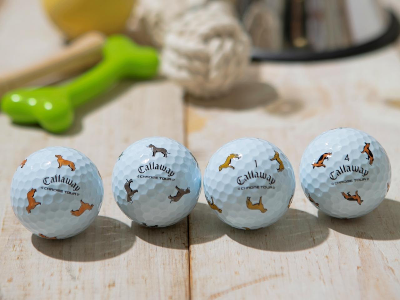 あなたの愛犬もいる？ 国際ドッグデーに合わせて、キャロウェイが「CHROME TOUR BIG DOGボール」を数量限定で発売開始 ...