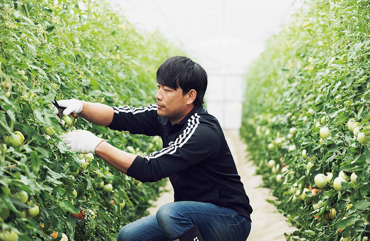地の糧を明日へ 東京ファーム最前線＜前編＞ (1/1) - T JAPAN:The New York Times Style Magazine ...
