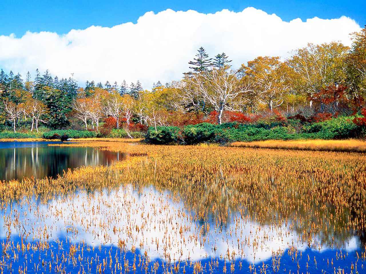 10月の北海道クルマ旅おすすめスポット①ニセコ編 紅葉と絶景と温泉天国！ 北海道民もリピートしてる！ - SOTOBIRA