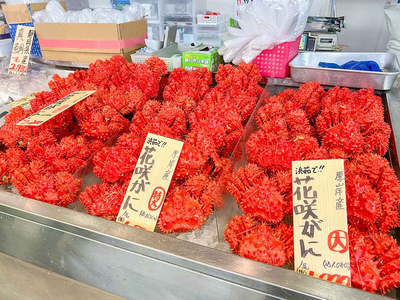 【車中泊旅】旬はいつ？北海道のウニ、カキ、甘エビ…海の幸＆独断と偏見で選ぶ、隠れた寿司の名店3選も！ - SOTOBIRA