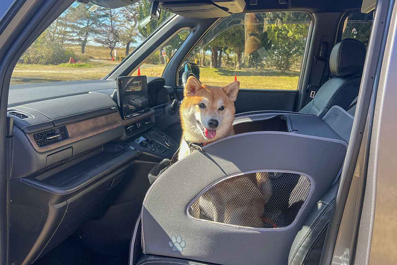 ホンダ・WR-Vで車中泊はできる？販売好調のコンパクトSUVを車中泊仕様にアレンジした結果…… - SOTOBIRA