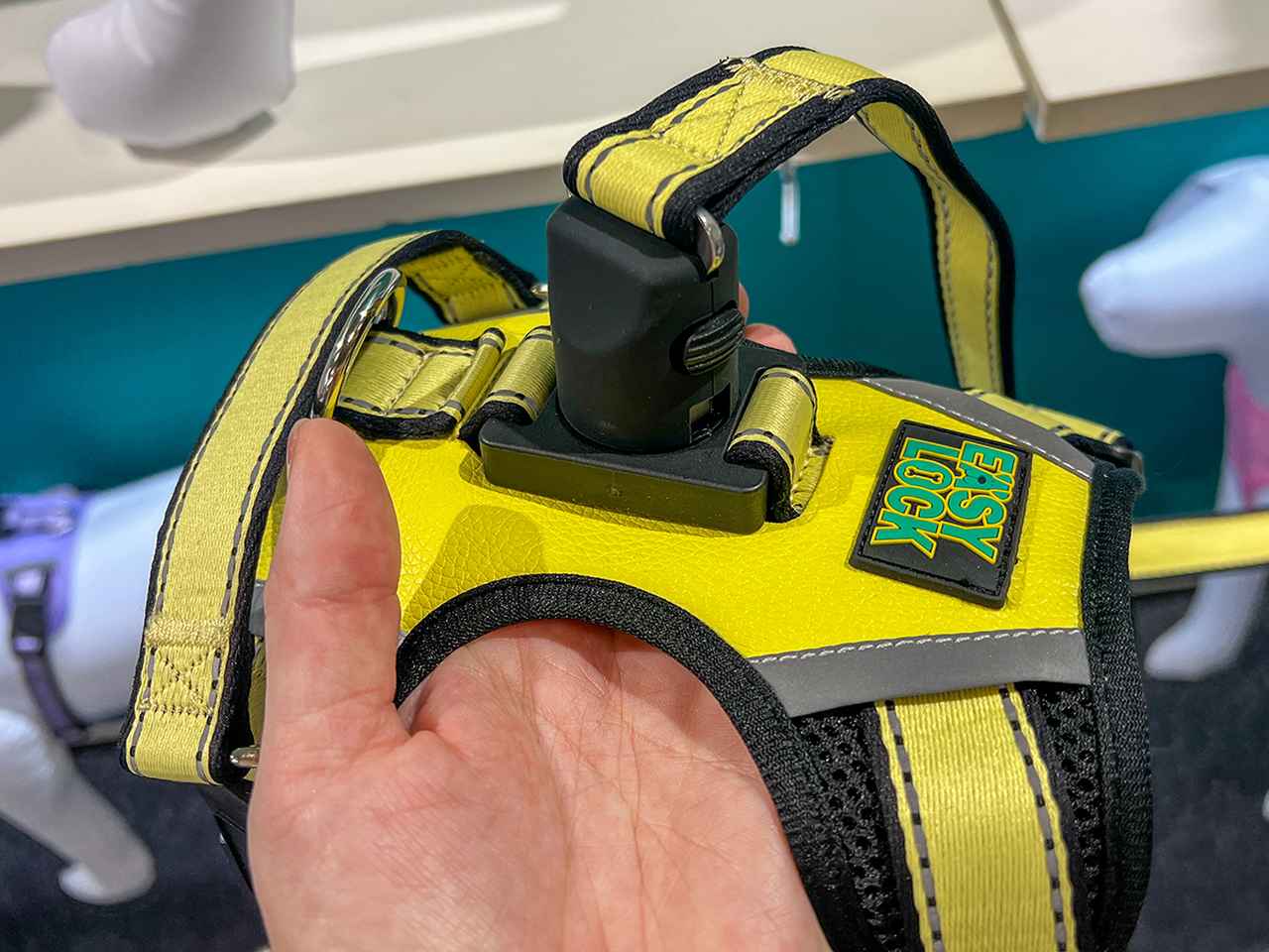 犬も人も車中泊キャンプが幸せになる便利グッズ6選 愛犬家車中泊キャンパーが「インターペット」で厳選 - SOTOBIRA