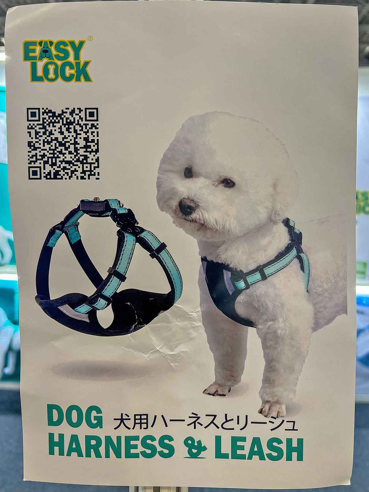 犬も人も車中泊キャンプが幸せになる便利グッズ6選 愛犬家車中泊キャンパーが「インターペット」で厳選 - SOTOBIRA