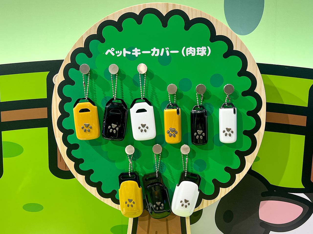 犬も人も車中泊キャンプが幸せになる便利グッズ6選 愛犬家車中泊キャンパーが「インターペット」で厳選 - SOTOBIRA