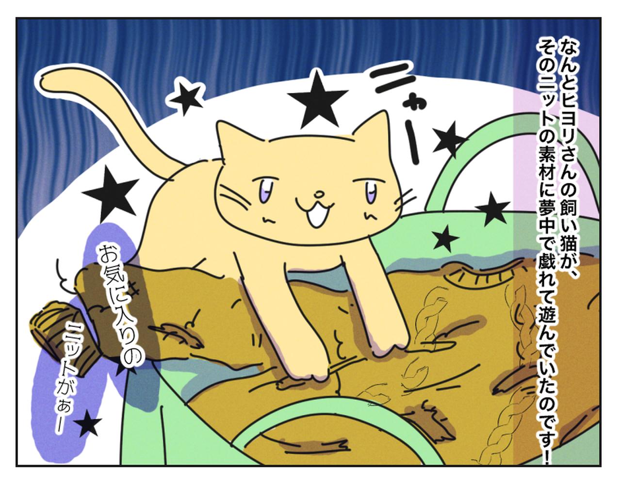 「ぎゃーーーッ！！やめて！！」【お気に入りの洋服が無残な姿に！】→その犯人は、、、？ - 【ftn】