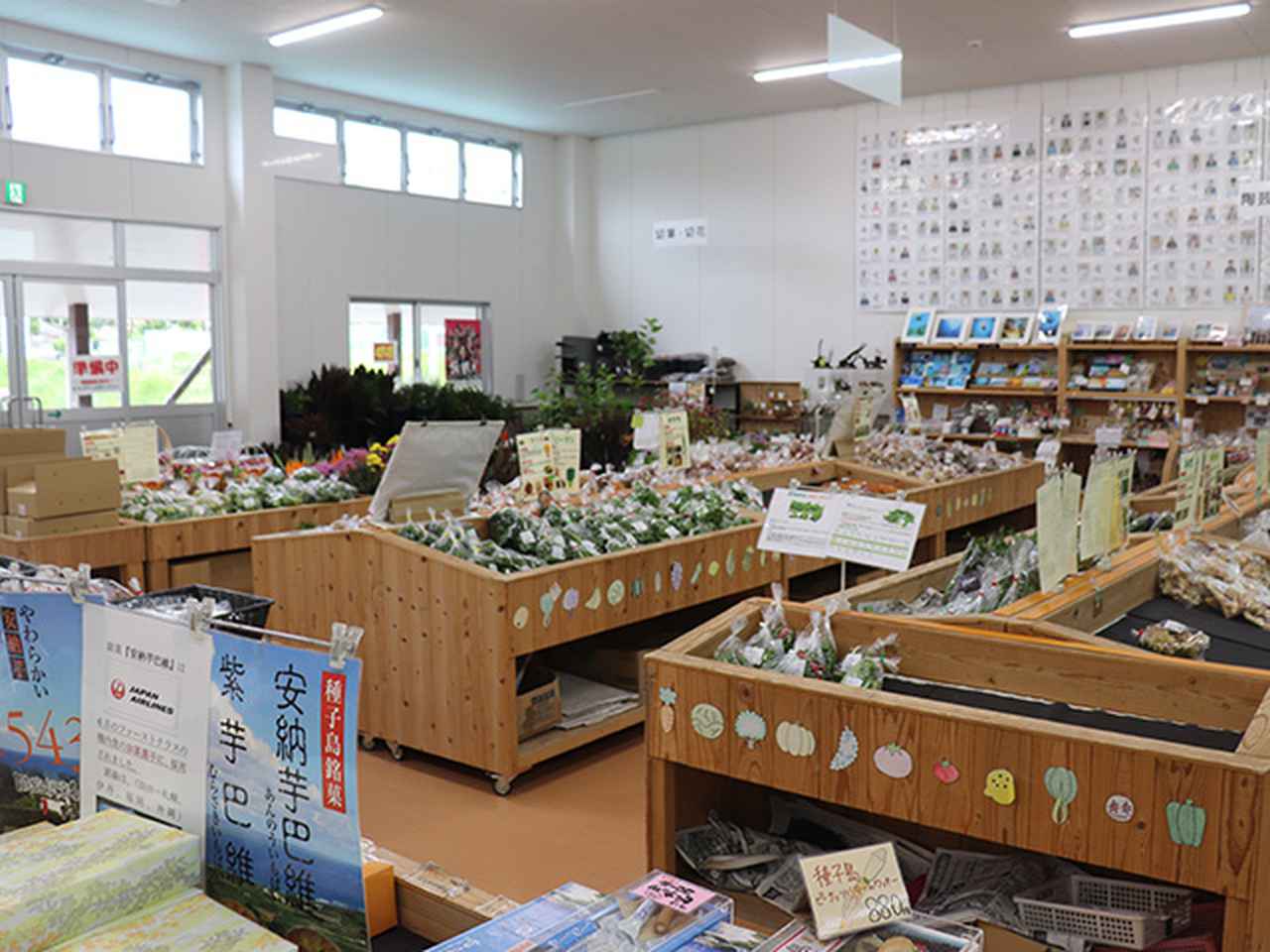 歴史・文化と大自然が織りなす種子島に宇宙への扉が開かれる (3/3) - OnTrip JAL