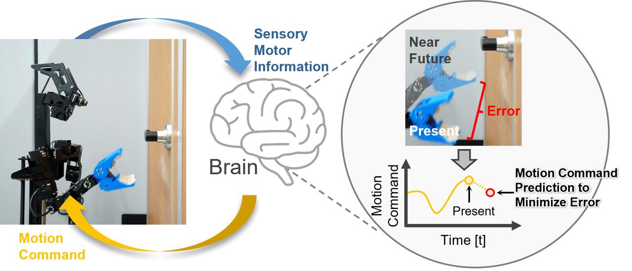 Development of Deep Predictive Learning Robot Control Technologies ...