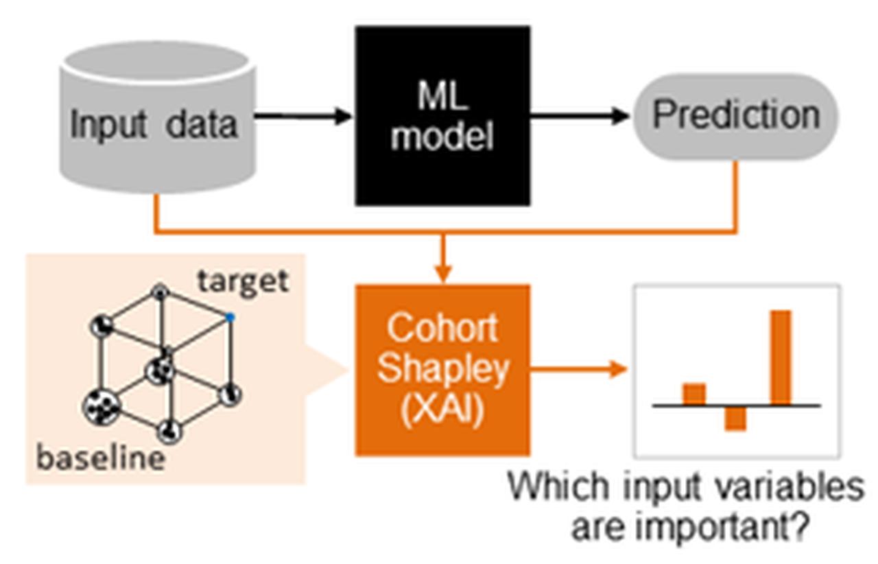 Explaining black box decisions by Shapley cohort refinement - Research ...
