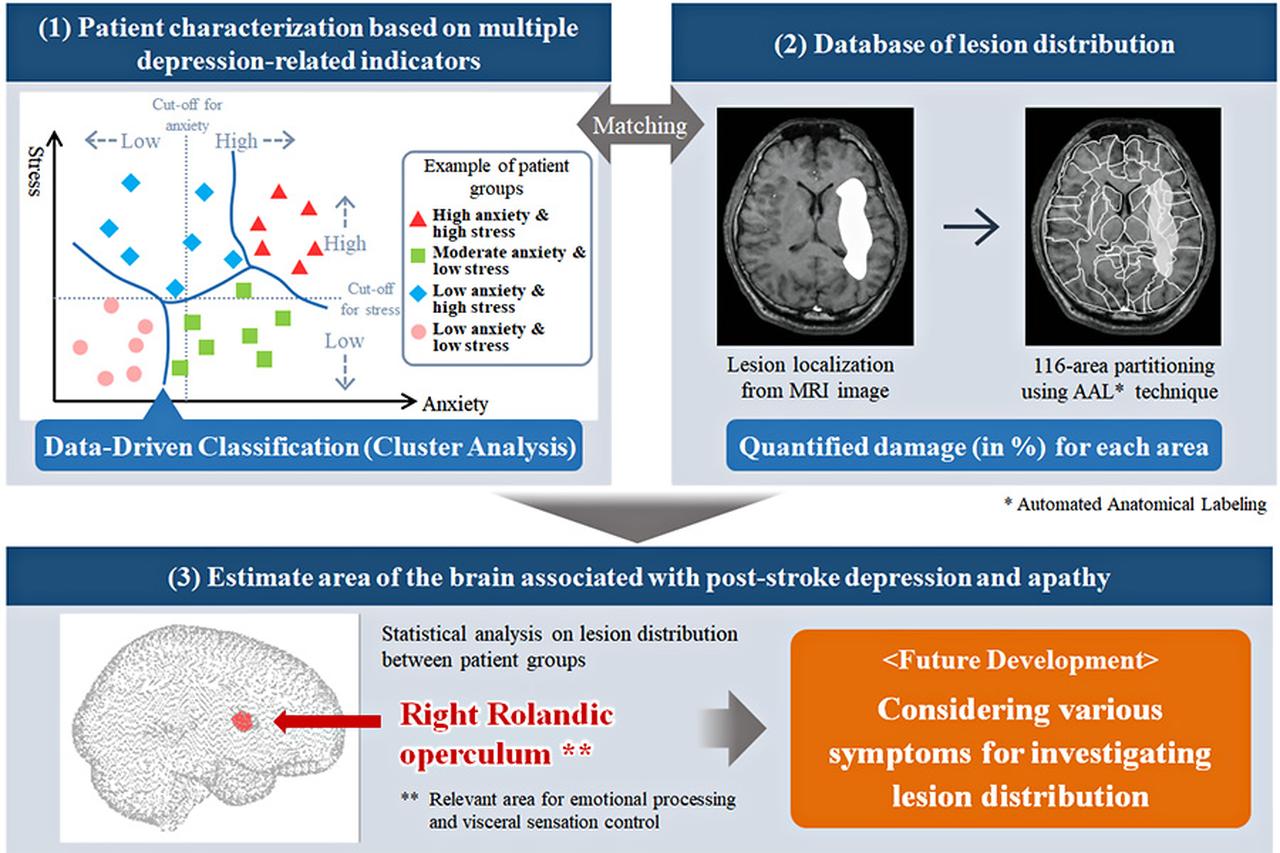 Cerebral infarction patients with lesions in the right Rolandic ...